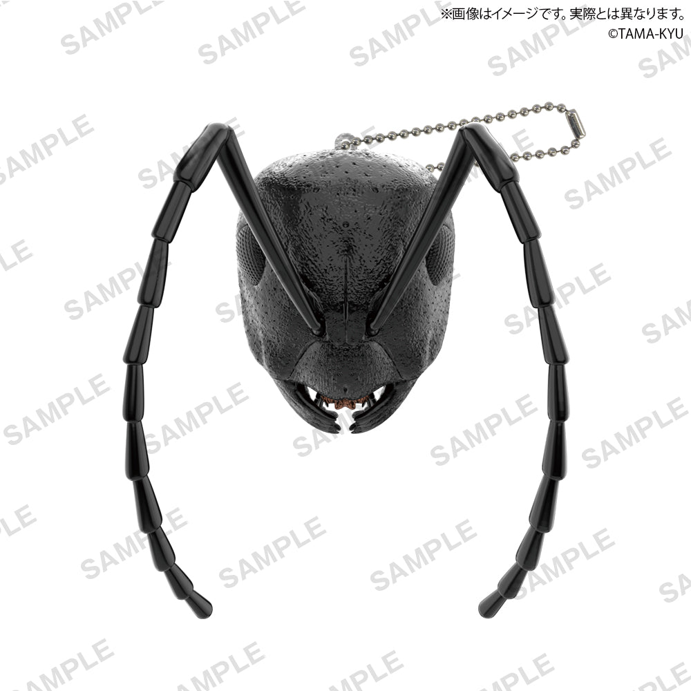 【限定99セット】TAMA-KYU 100倍ズームアリとハチの顔 全種コンプリートセット