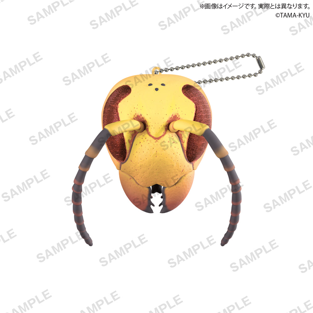 【限定99セット】TAMA-KYU 100倍ズームアリとハチの顔 全種コンプリートセット