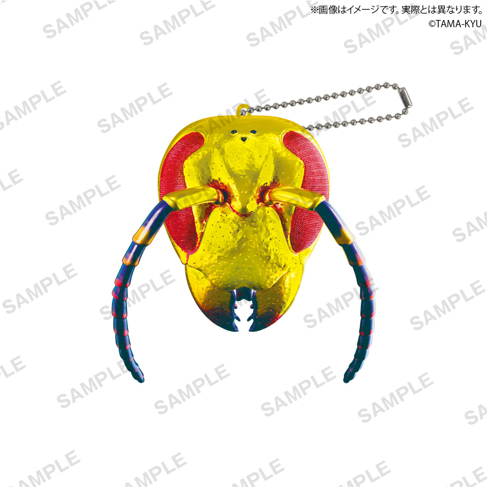 【限定99セット】TAMA-KYU 100倍ズームアリとハチの顔 全種コンプリートセット